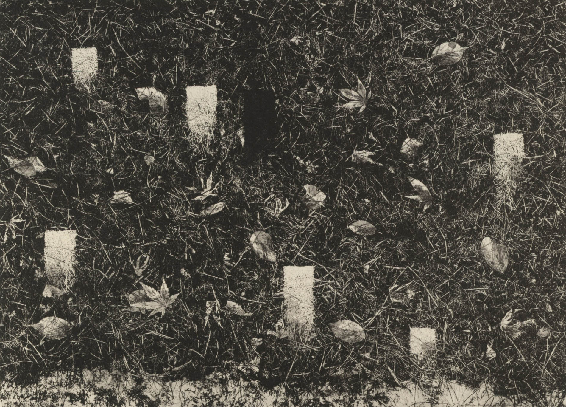 Tadayoshi Nakabayashi (Japan)